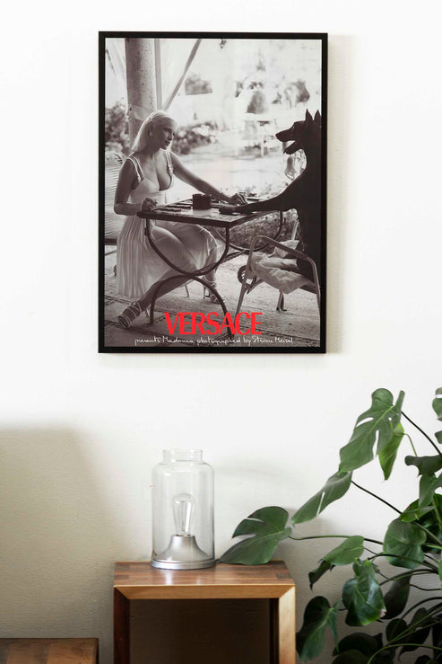 Versace Madonna Doberman Dog Poster, 90's Style Print, Vintage Design ...